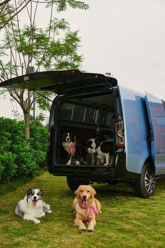 品牌介绍 – Gecko Motors